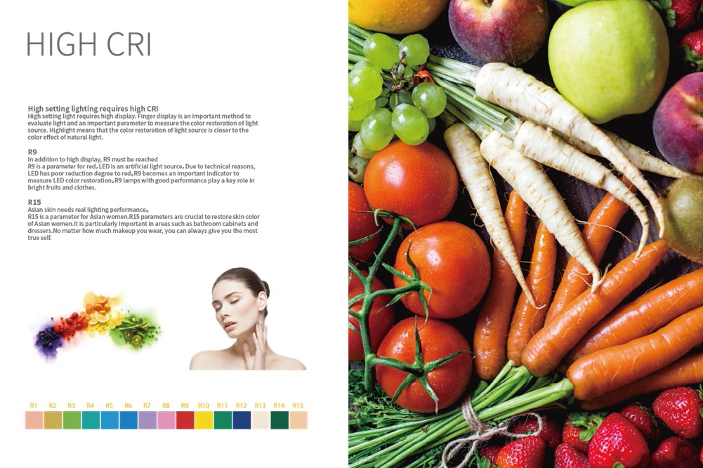 ZH2029 Embedded light bar - 智绘照明